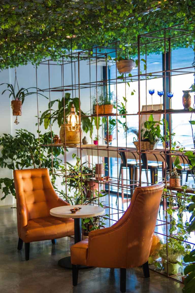 Building a Sustainable Future: An Overview of LEED v5 – Green Synergies