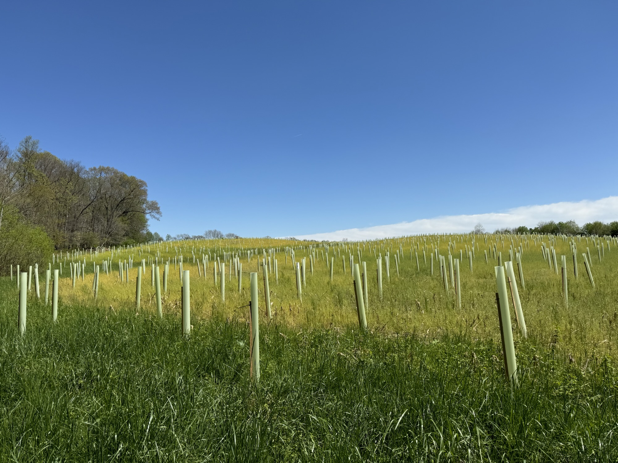 Building a Sustainable Future: An Overview of LEED v5 – Green Synergies