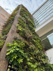 Building a Sustainable Future: An Overview of LEED v5 – Green Synergies
